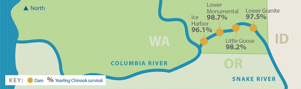 Fish & Dams - Port of Clarkston